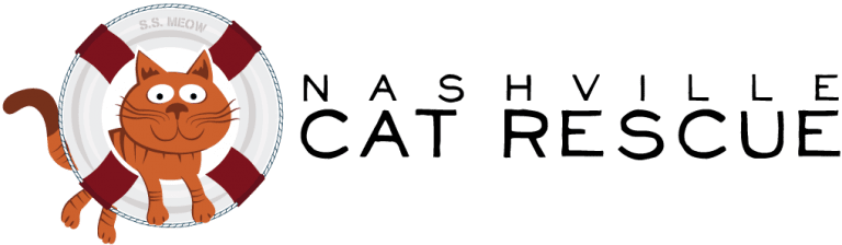 Spay & Neuter Your Pets | Nashville Cat Rescue